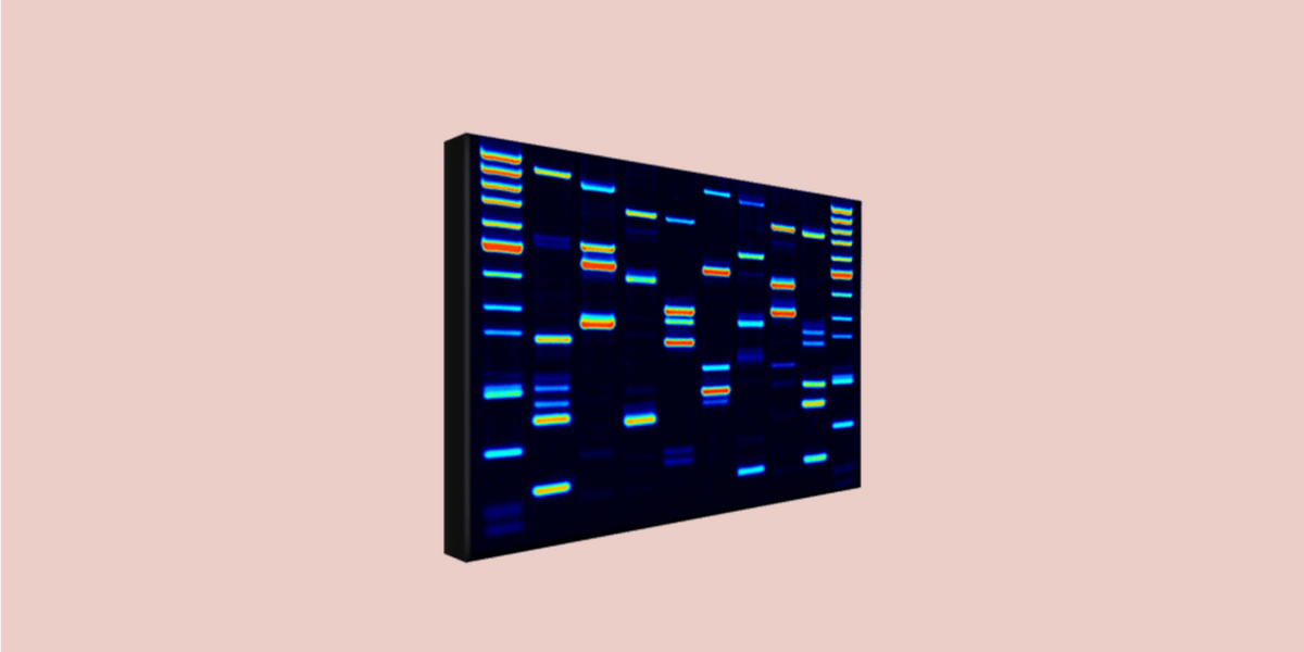 DNA Art | Family DNA Portrait | Dynamic DNA Laboratories